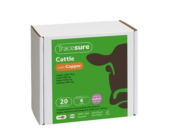 Tracesure Advanced Cattle with Copper Bolus 20s - MagentaDirect