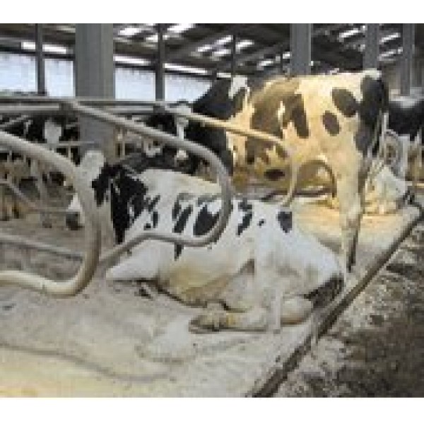 CUBICLE LIME 40 x 25kg PLASTIC BAGS - MagentaDirect