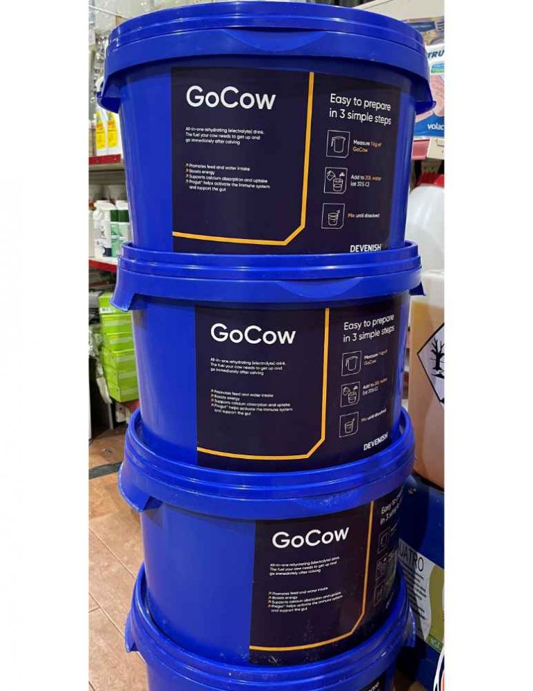 GoCow Post Calving Drink - MagentaDirect